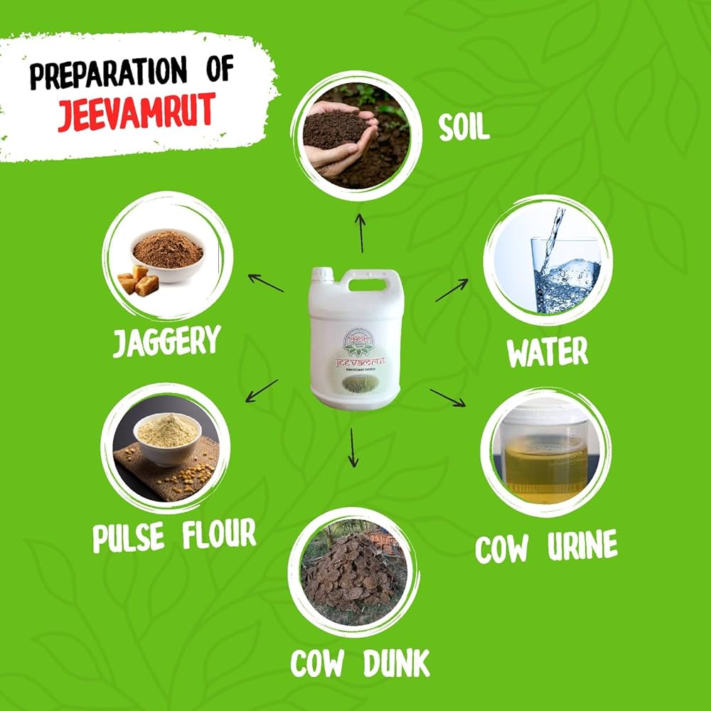 Jeevamirtham Benefits & Prepaeration Methods – The Natura